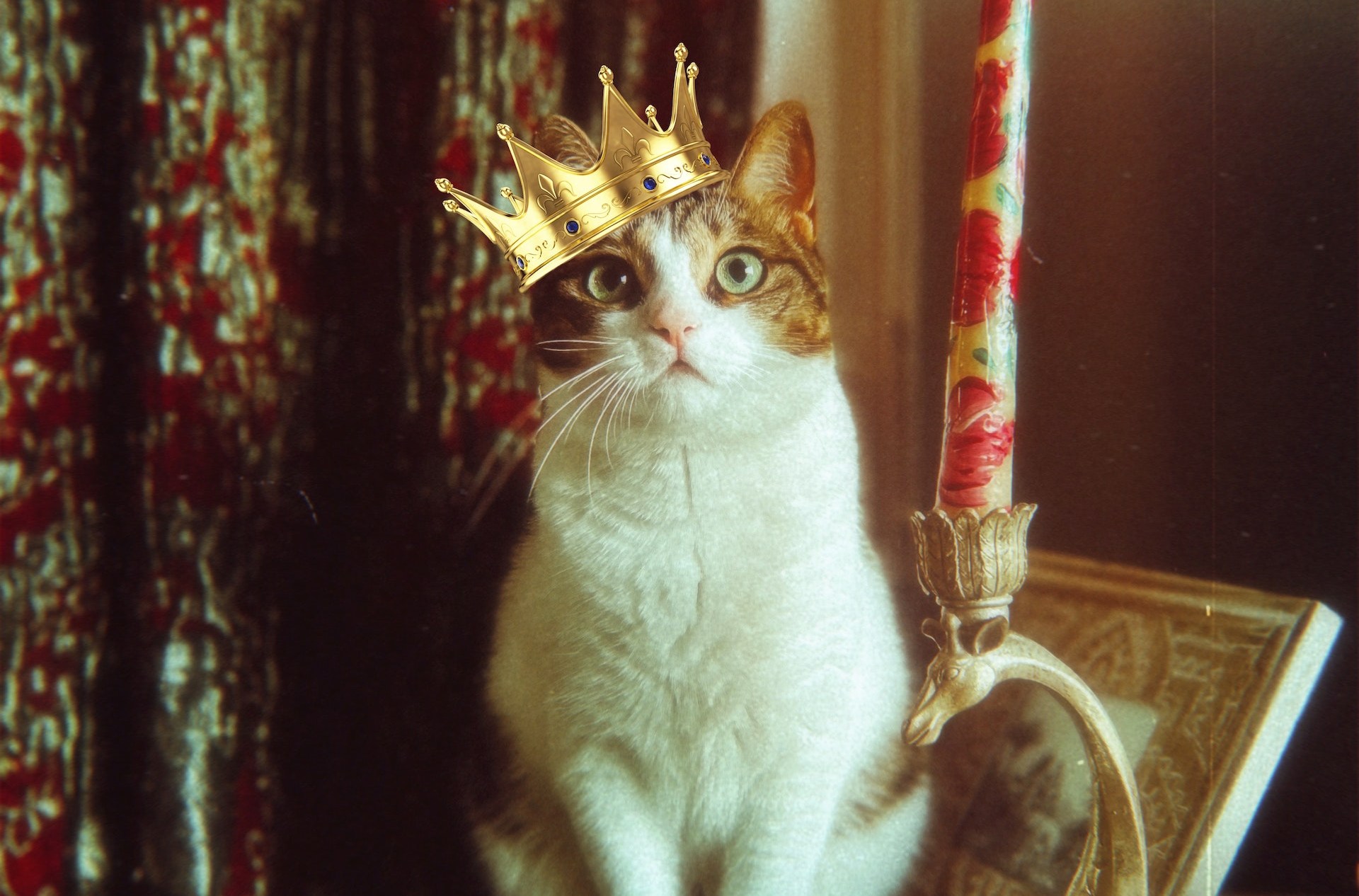 Η υγιής και χρήσιμη όψη του να είσαι μια μεγάλη ψωνάρα